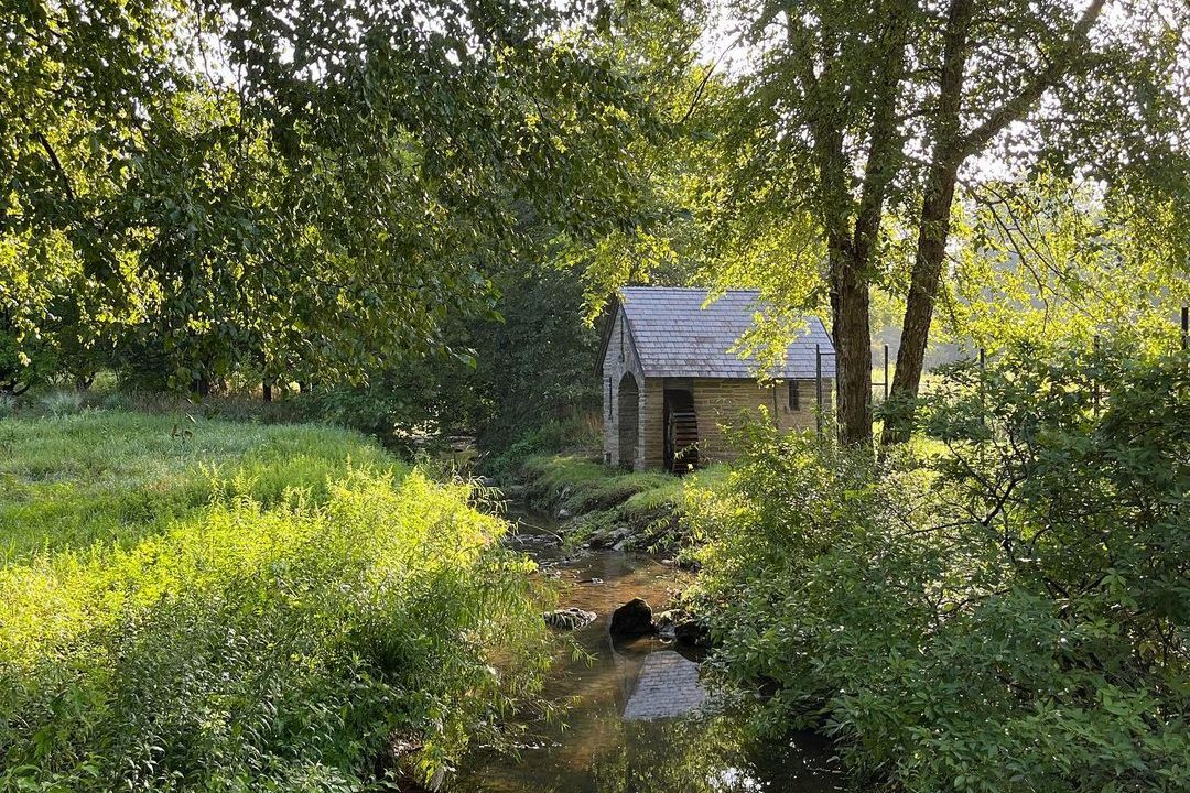 Pure Nature | Inspiring Impact