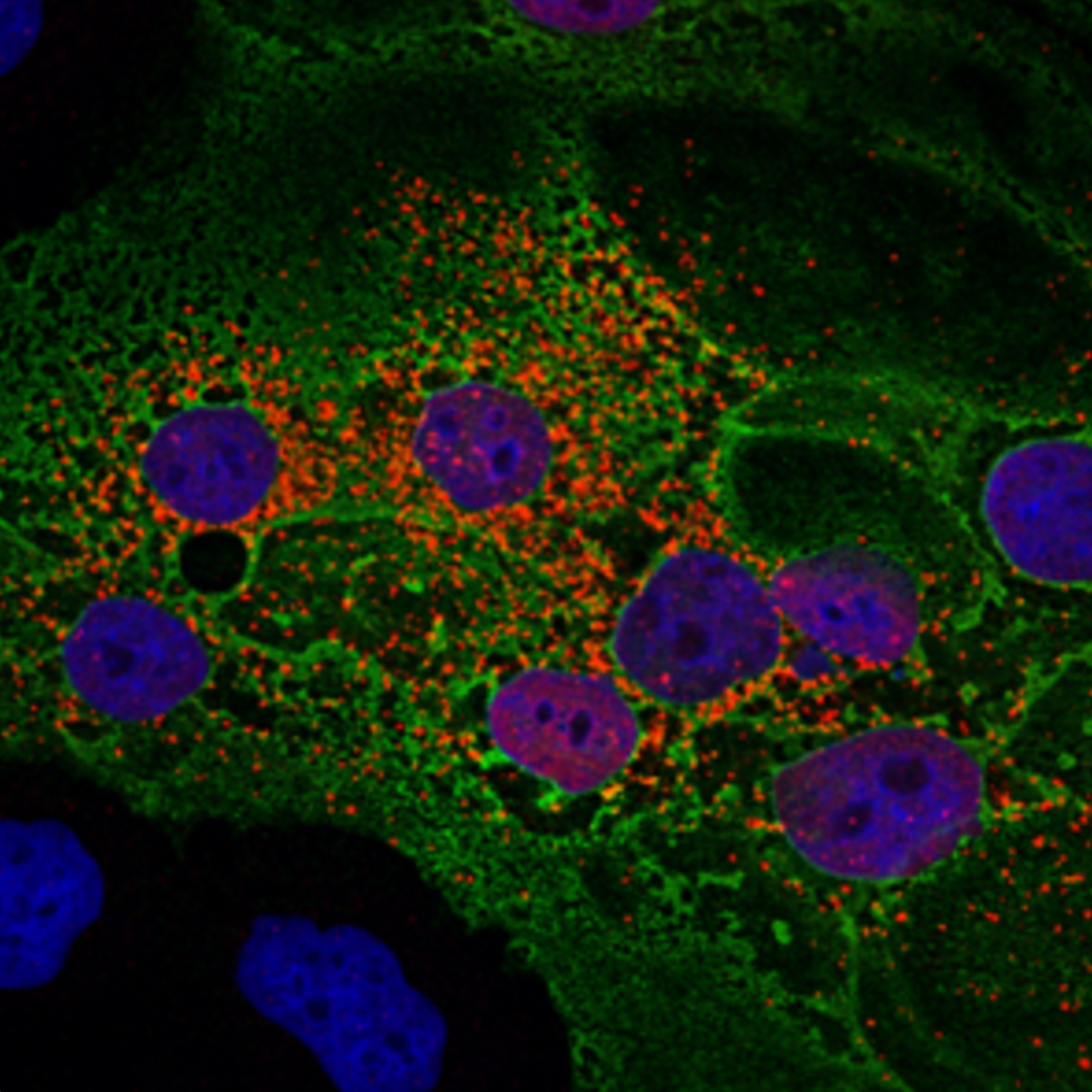 Front and Center in the Fight against COVID-19 | Inspiring Impact