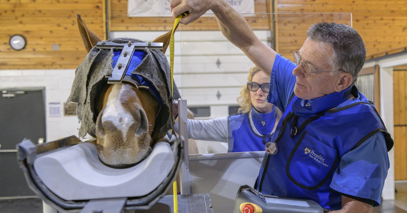 The Era of Moving Pictures at Penn Vet | Inspiring Impact